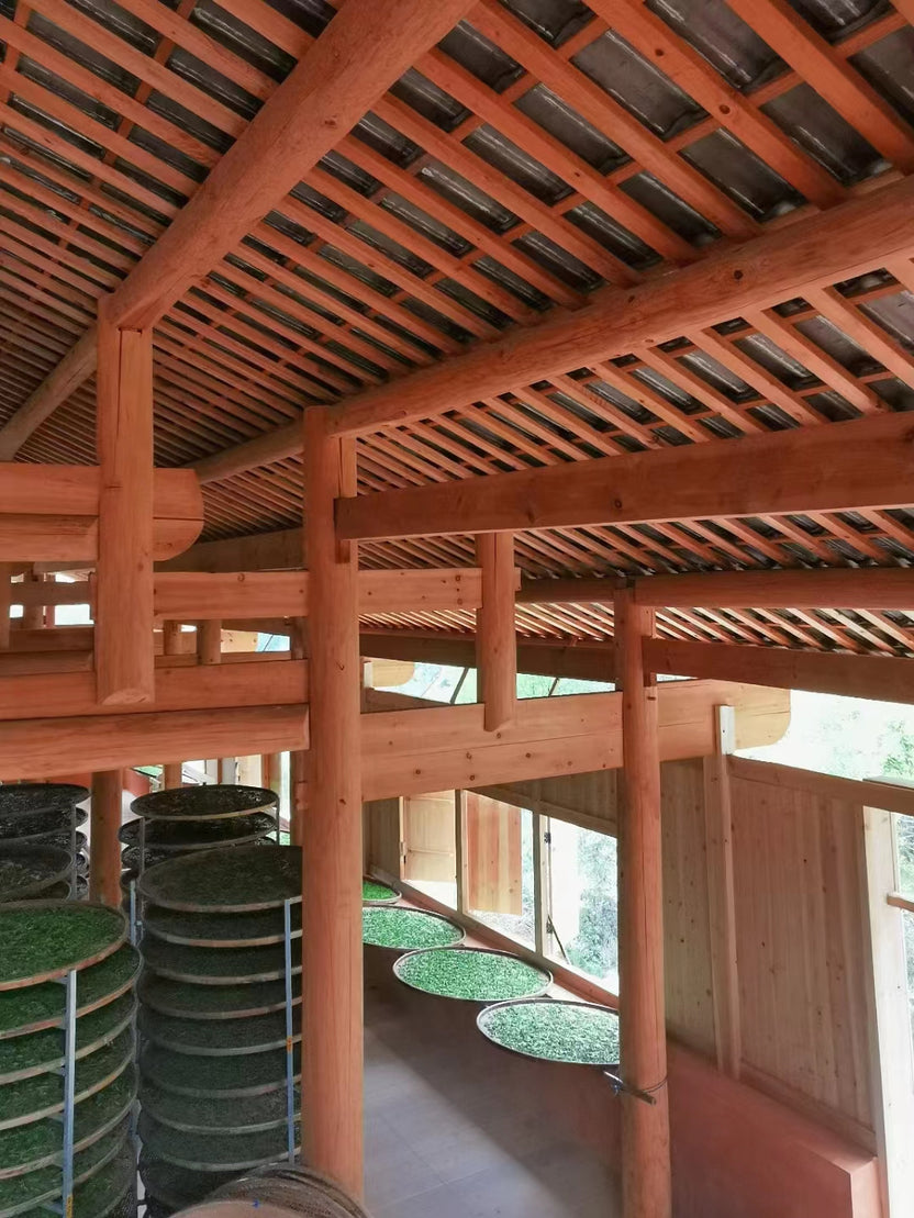 Tea Factory – PINYETEA